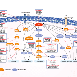 Src抑制剂 | Src Inhibitor
