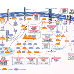 ALK抑制剂 | ALK Inhibitor