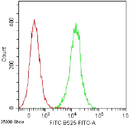 FITC CD45.2 Antibody [104]