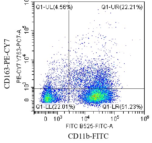 PE-CY7 Mouse CD163 Antibody [S15049I]