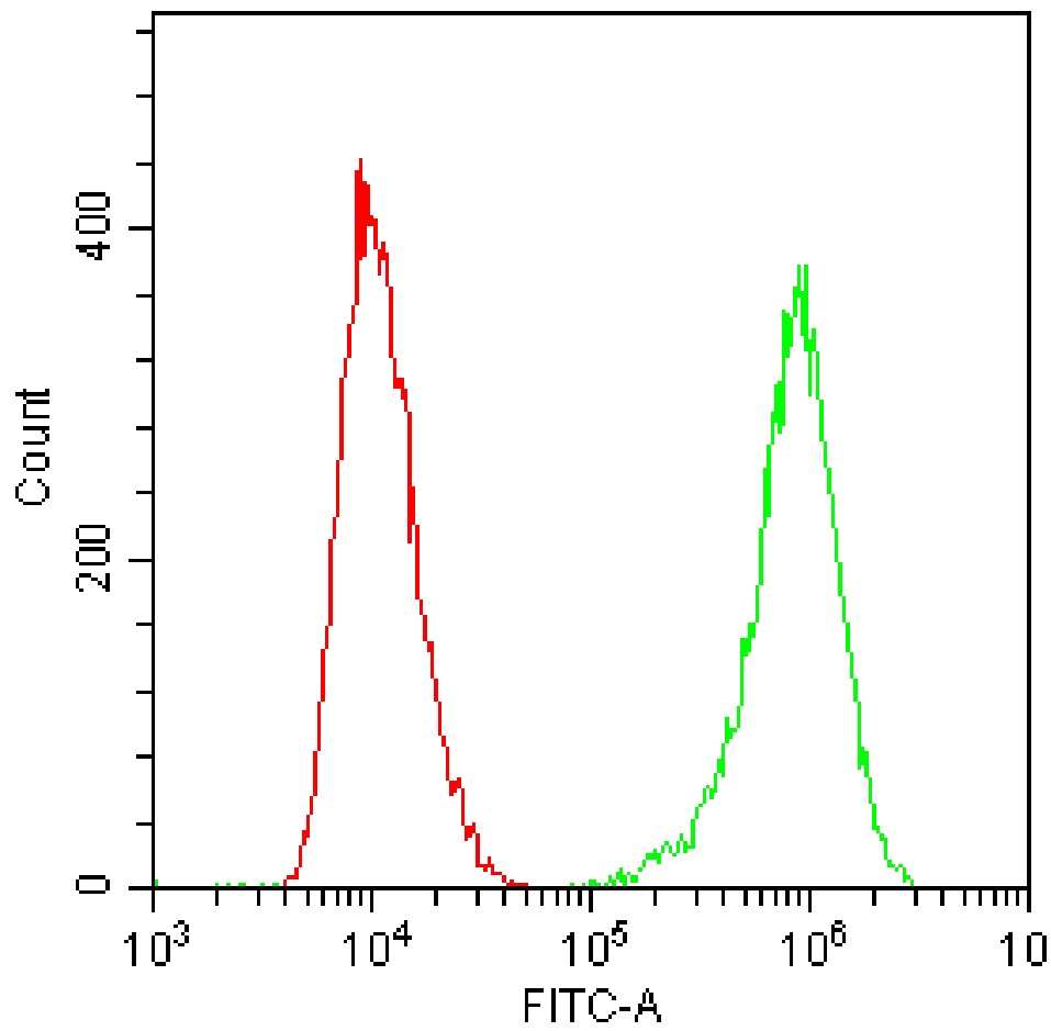 FITC Mouse Ig light chain κ Antibody [187.1]