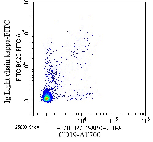 FITC Human Ig light chain κ Antibody [MHK-49]