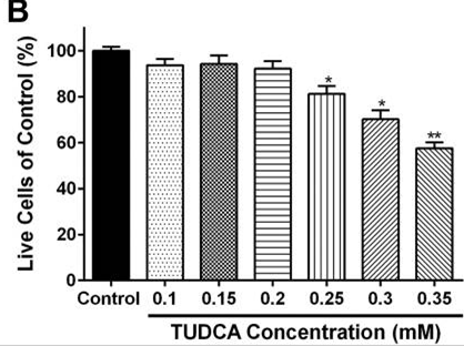 Tauroursodeoxycholic Acid (TUDCA) | 现货供应 | 美国品牌 | 免费采购电话400-668-6834