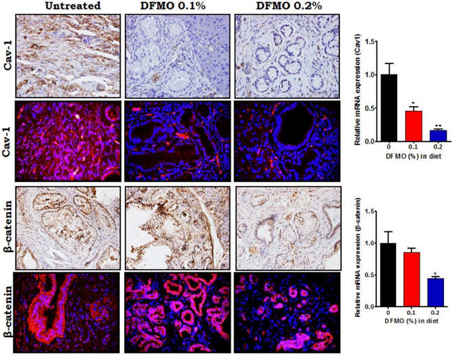 Eflornithine (DFMO) hydrochloride hydrate | 依氟鸟氨酸盐酸盐一水合物 ...