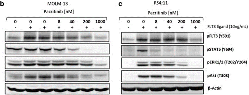 Pacritinib | 购买JAK 抑制剂 - Selleck