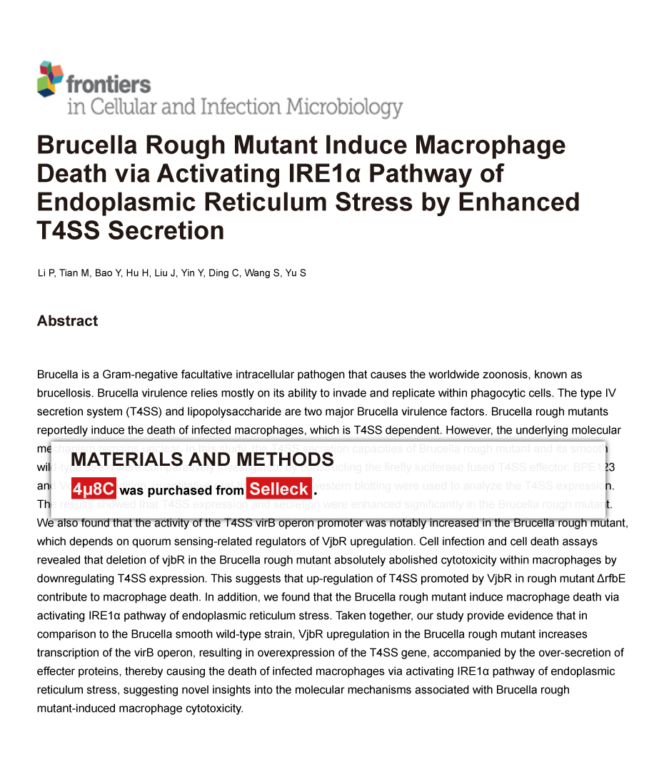 4μ8C | 购买IRE1 抑制剂 - Selleck