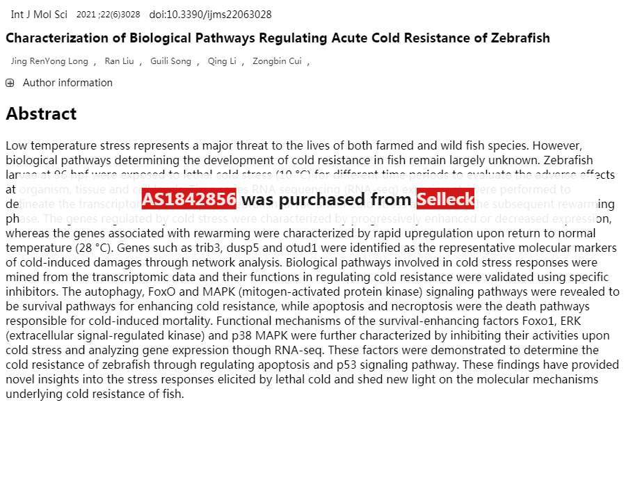 FOX 抑制剂 | FOX 抗体 | FOX inhibitor | FOX antibody | FOX Review