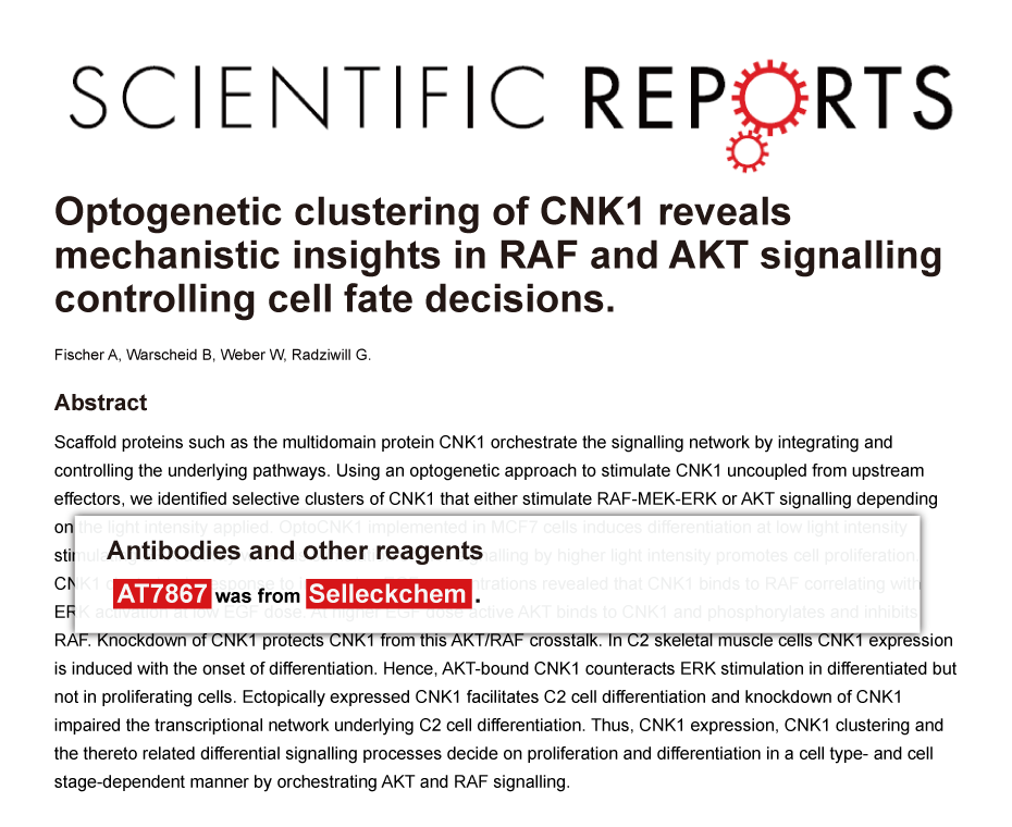 AT7867 | ≥99%(HPLC) | Selleck | Akt inhibitor