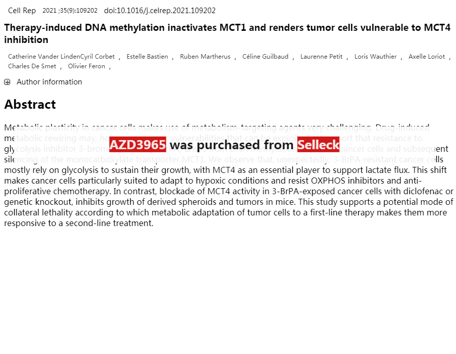 MCT Review | MCT抑制剂