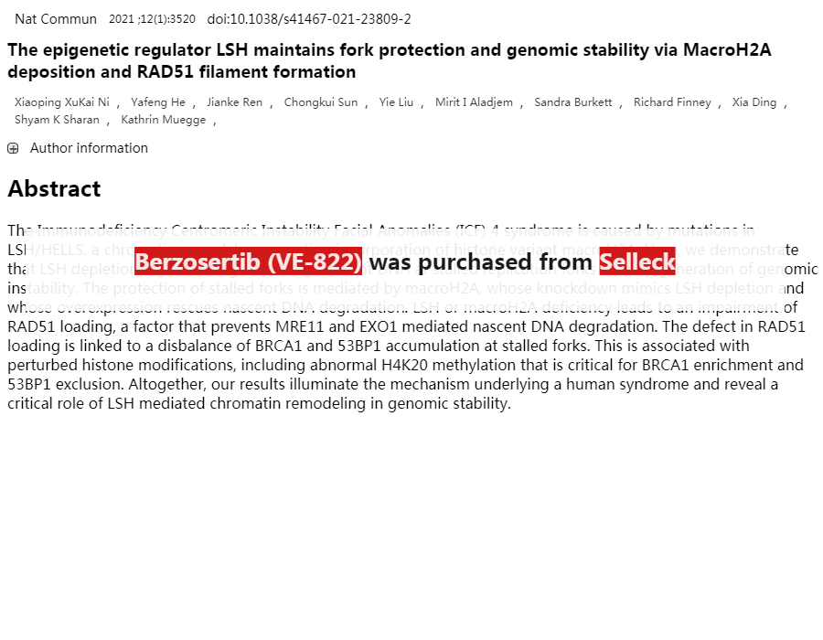 ATM/ATR抑制剂 | ATM/ATR Inhibitor