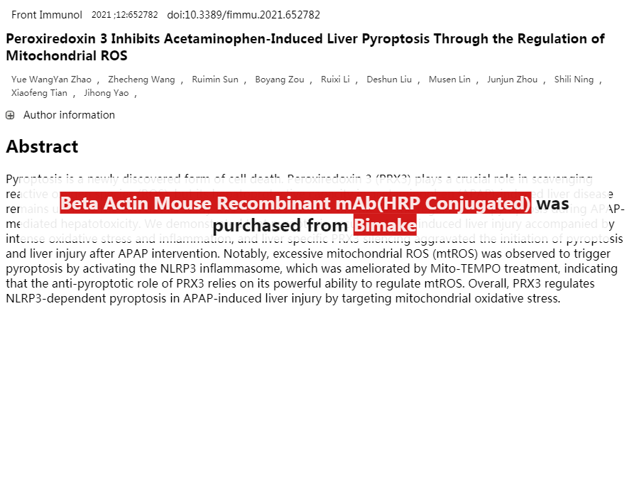 Actin 拮抗剂 | Actin 抑制剂 | Actin 激动剂 | Actin 激活剂