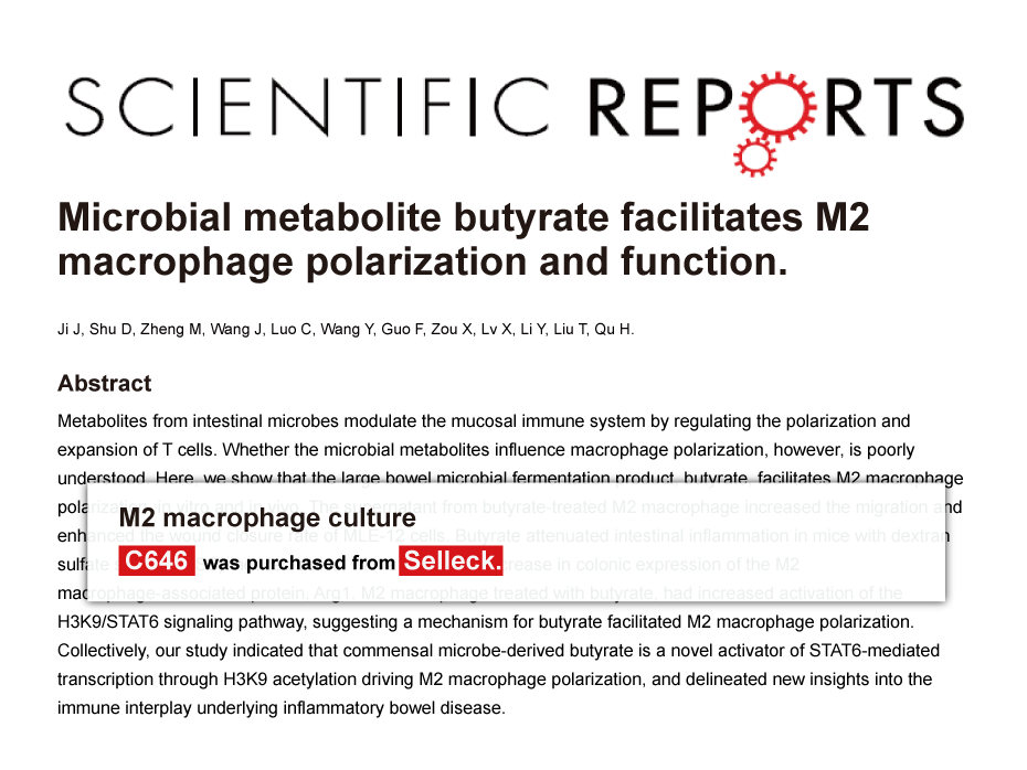 C646 | 购买Histone Acetyltransferase 抑制剂 - Selleck
