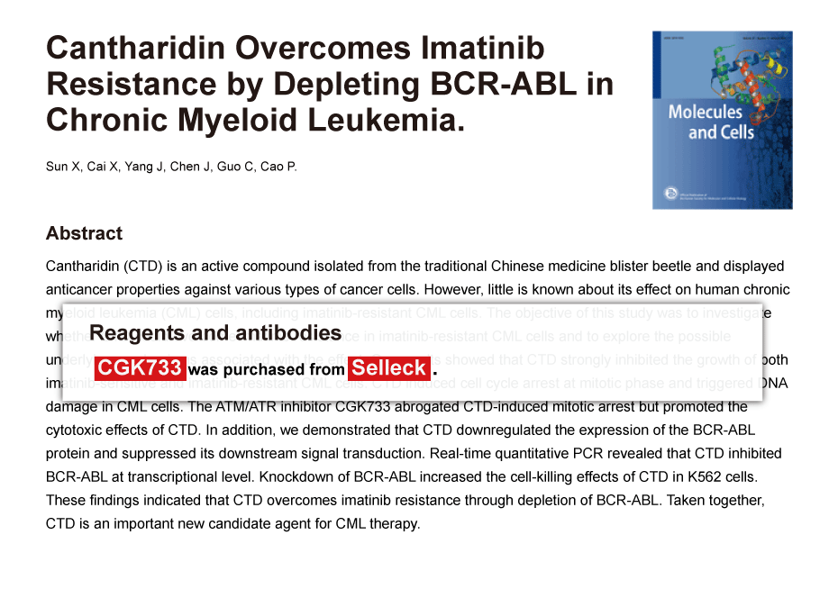 ATM/ATR抑制剂 | ATM/ATR Inhibitor