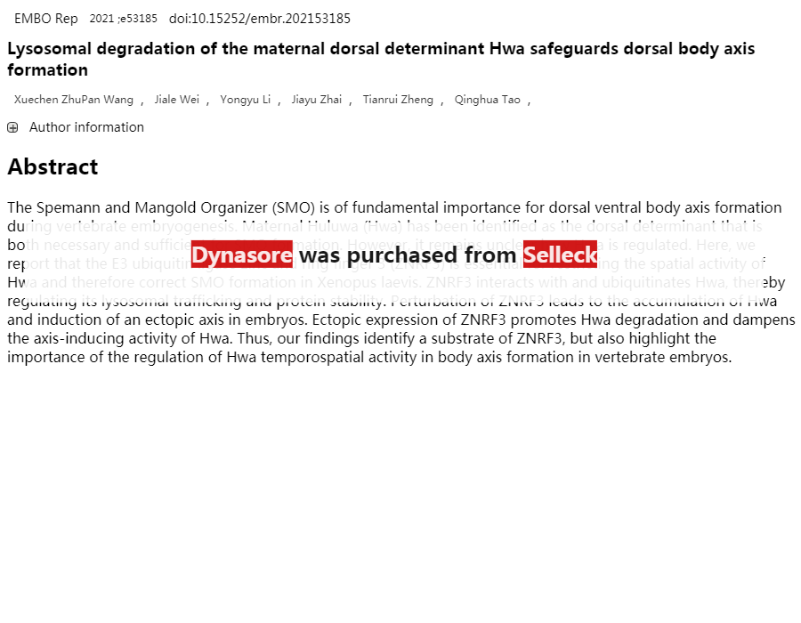 发动蛋白 | Dynamin