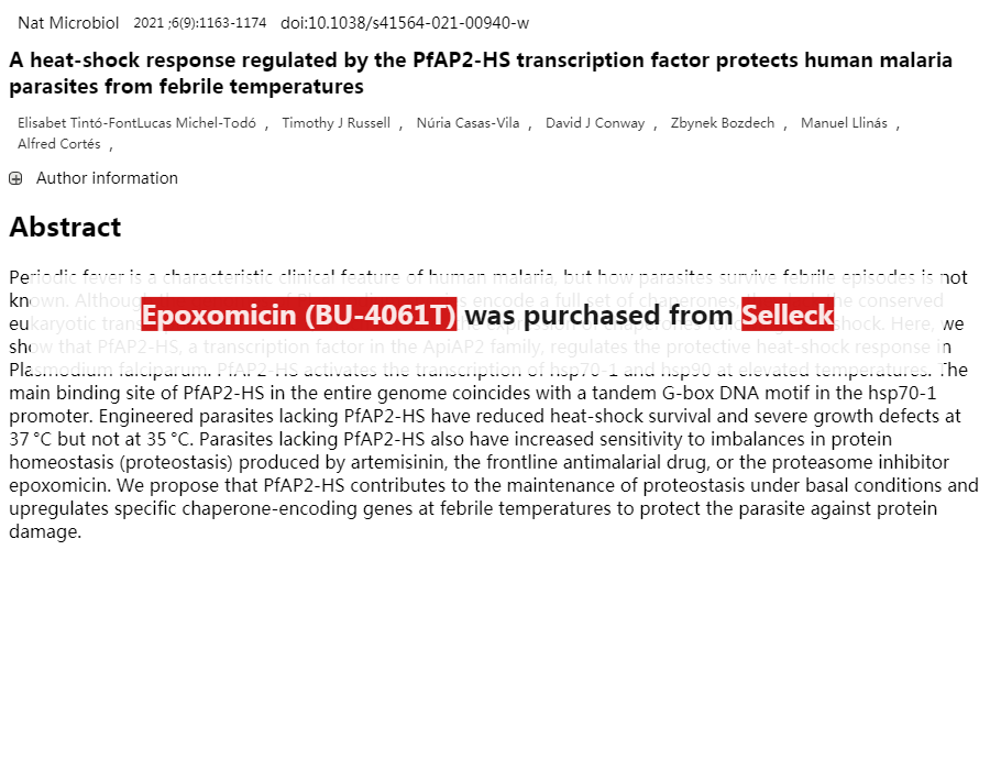 Proteasome抑制剂 | Proteasome Inhibitor