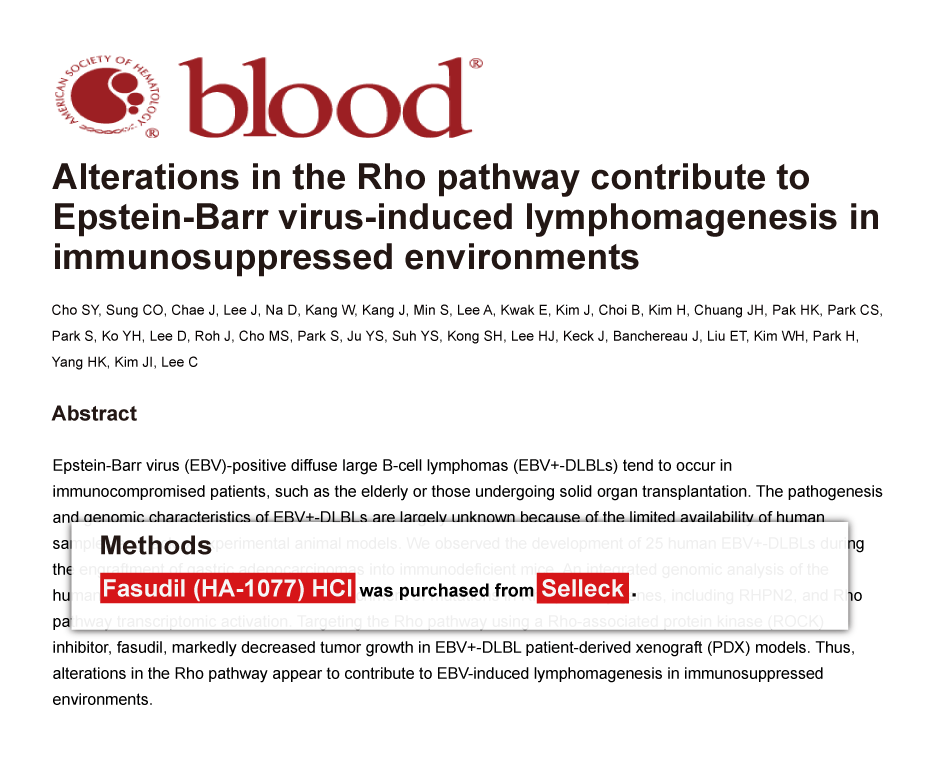 ROCK抑制剂 | ROCK Inhibitor