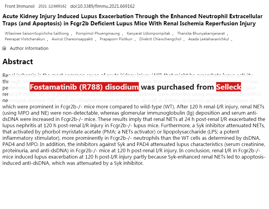 Syk抑制剂 | Syk Inhibitor