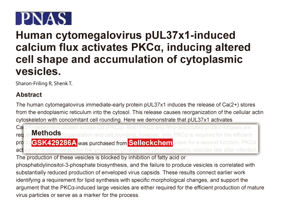ROCK抑制剂 | ROCK Inhibitor