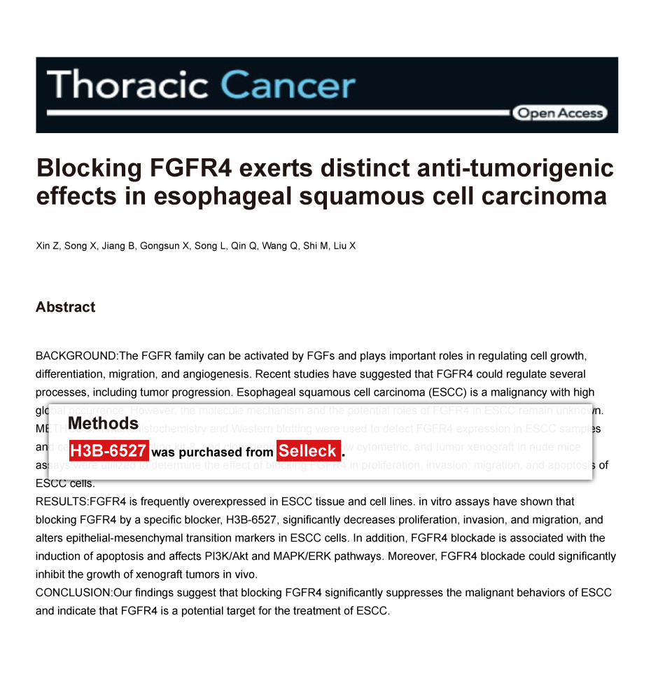 FGFR抑制剂 | FGFR Inhibitor