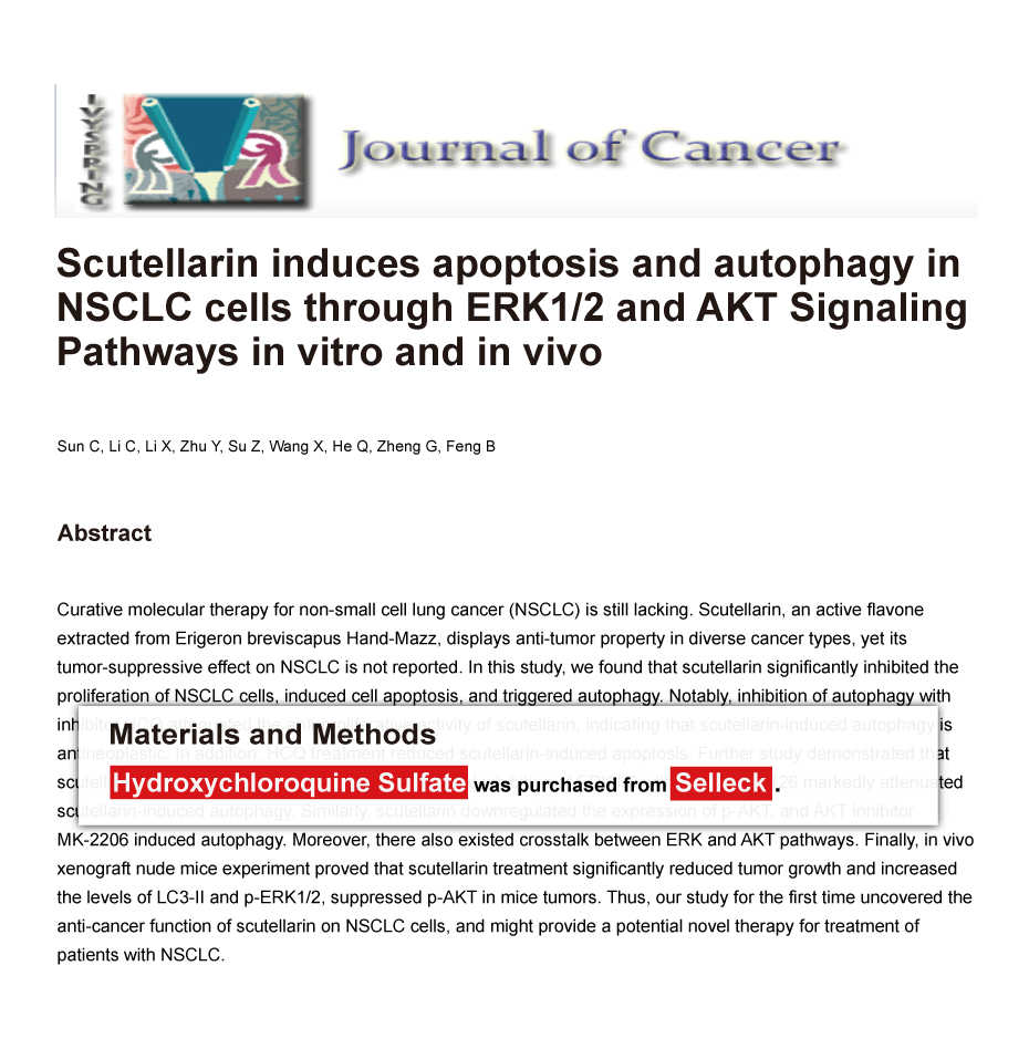 Hydroxychloroquine Sulfate | Autophagy 抑制剂 | 现货供应 | 美国品牌 | 免费采购电话400 ...