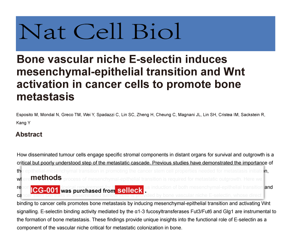 ICG-001 | 购买Epigenetic Reader Domain 抑制剂 - Selleck