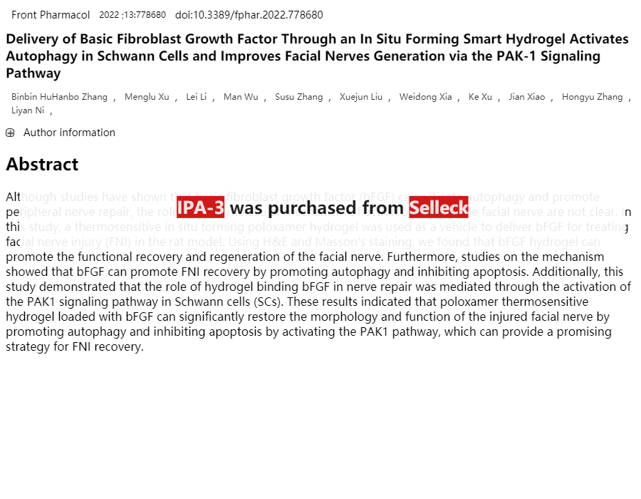PAK | p21 activated kinases