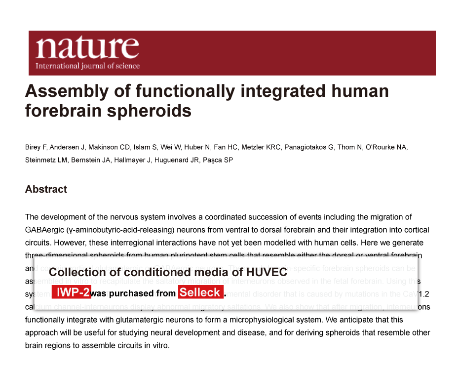 IWP-2 | 购买Wnt/beta-catenin 抑制剂 - Selleck