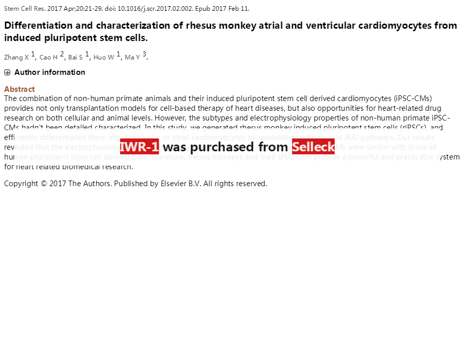 IWR-1-endo | 购买Wnt/beta-catenin 抑制剂 - Selleck