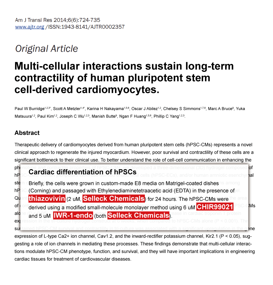 IWR-1-endo | 购买Wnt/beta-catenin 抑制剂 - Selleck