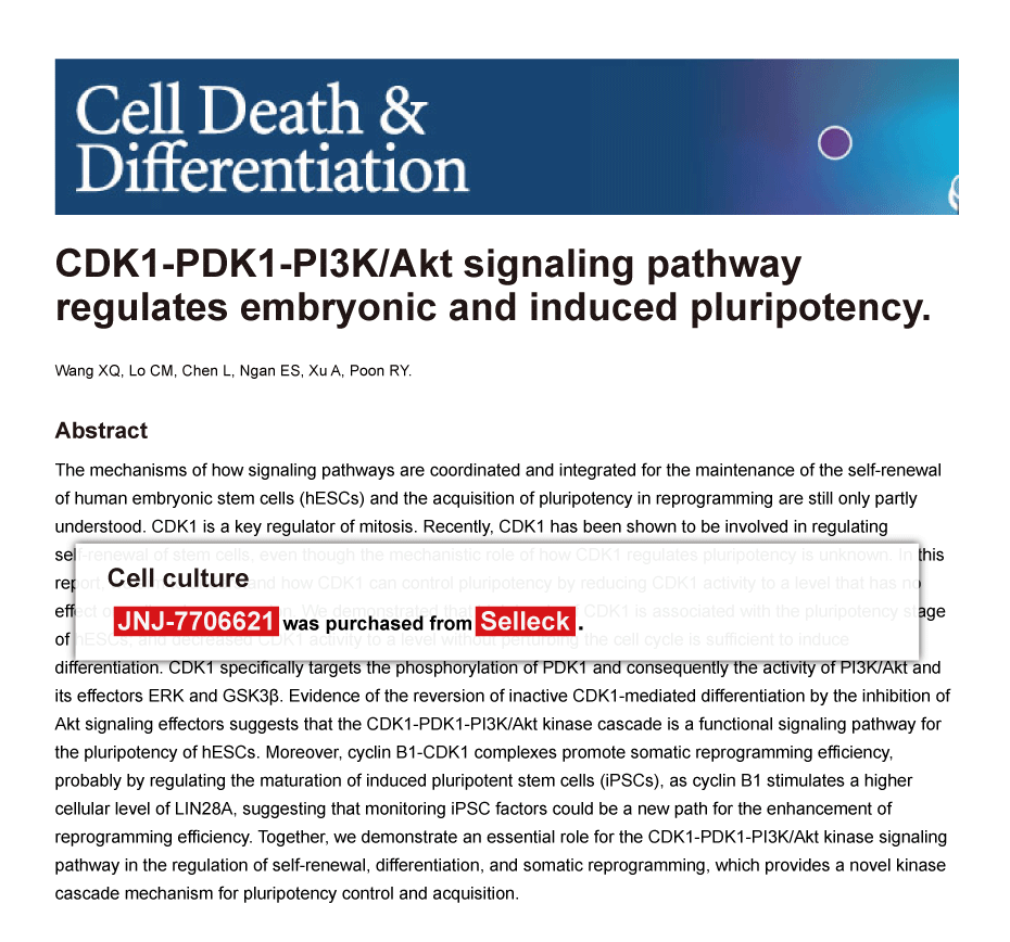 CDK抑制剂 | CDK Inhibitor