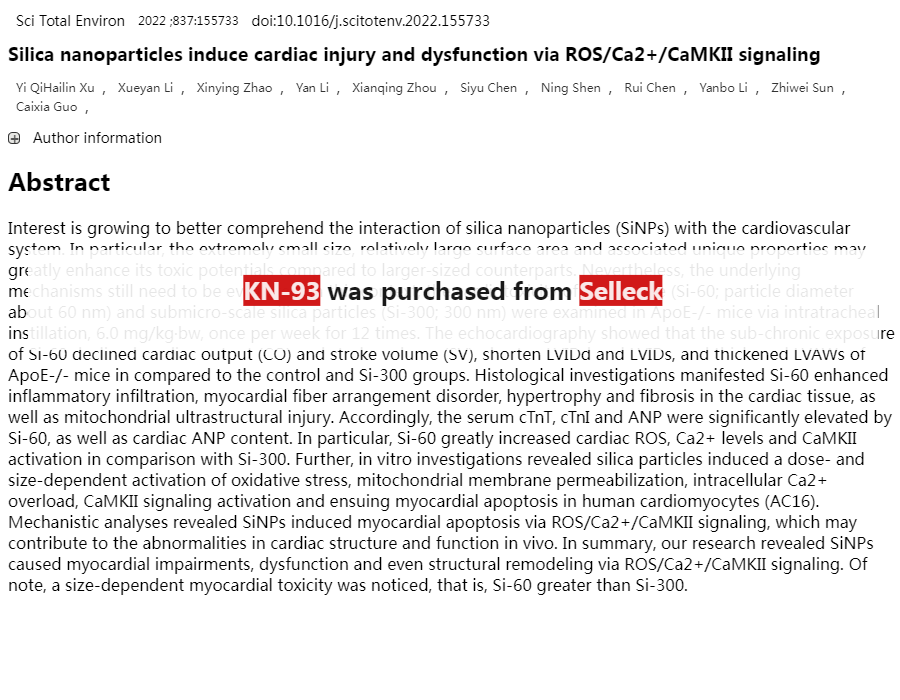 KN-93 | ≥99%(HPLC) | Selleck | CaMK inhibitor