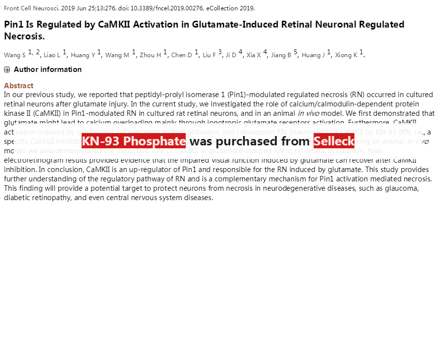 KN-93 Phosphate | CaMK 抑制剂 | 现货供应 | 美国品牌 | 免费采购电话400-668-6834