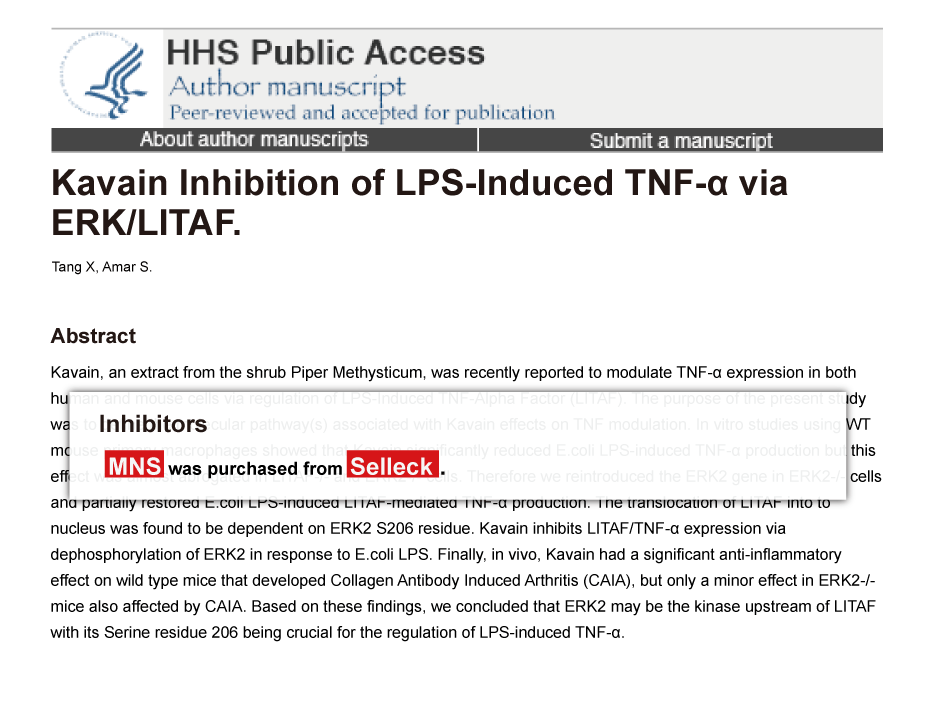 Syk抑制剂 | Syk Inhibitor