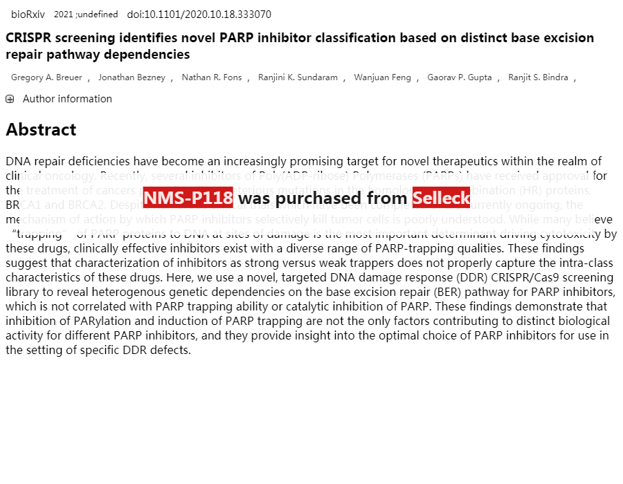 PARP抑制剂 | PARP Inhibitor