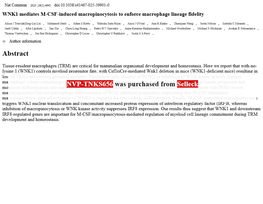 PARP抑制剂 | PARP Inhibitor