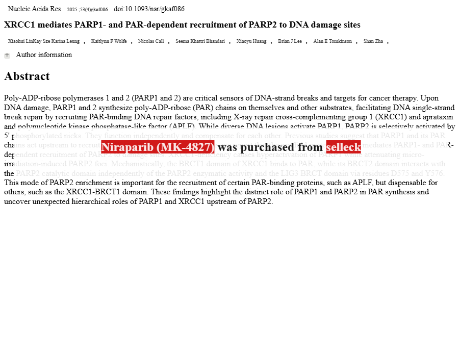 PARP抑制剂 | PARP Inhibitor
