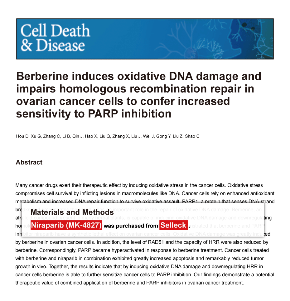 PARP抑制剂 | PARP Inhibitor