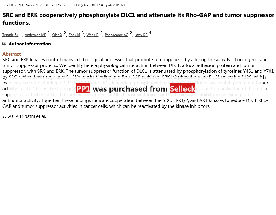 Src抑制剂 | Src Inhibitor