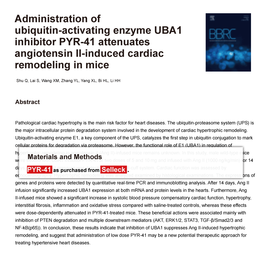 PYR-41 | 购买E1 Activating 抑制剂 - Selleck