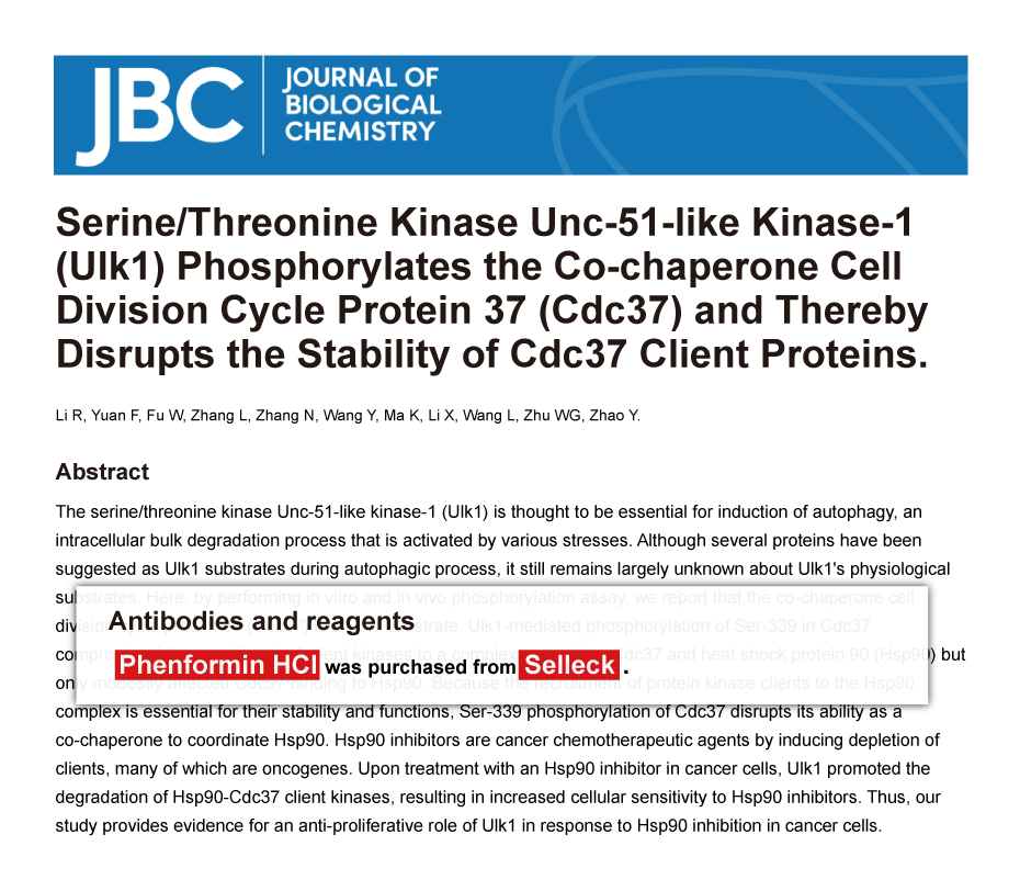 Phenformin (NSC-756501) HCl | ≥99%(HPLC) | Selleck | AMPK activator