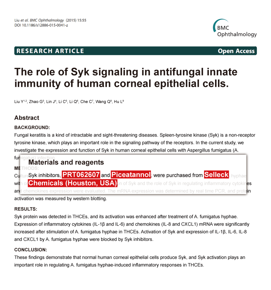 Syk抑制剂 | Syk Inhibitor