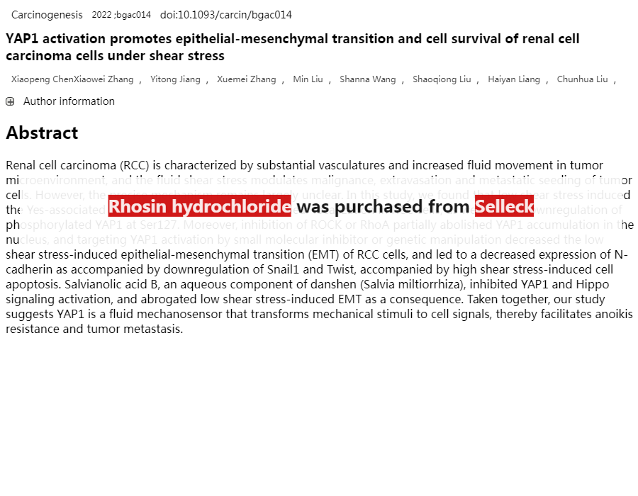 Rho抑制剂 | Rho Inhibitor