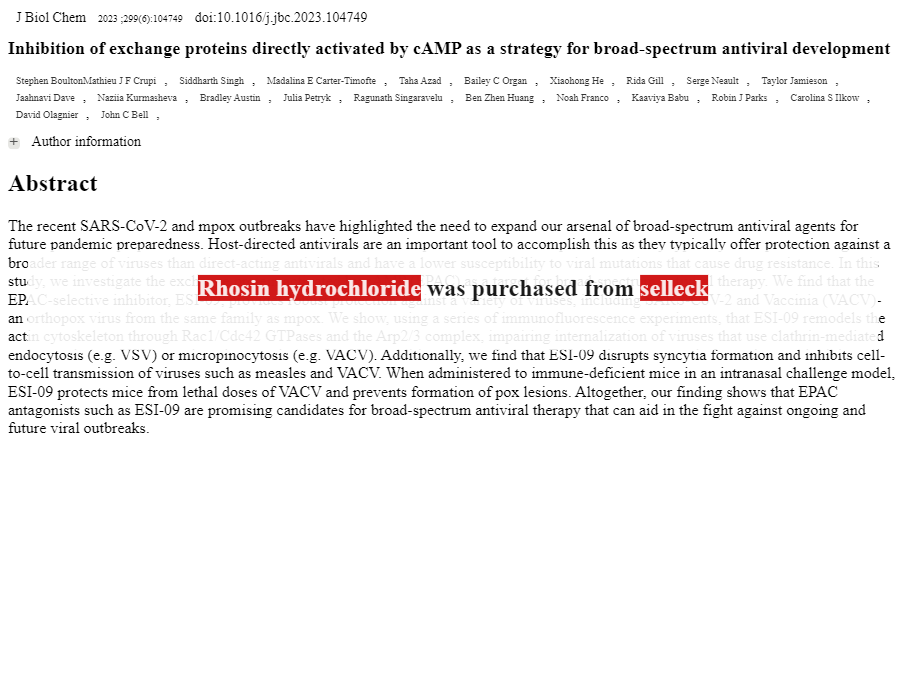 Rho抑制剂 | Rho Inhibitor