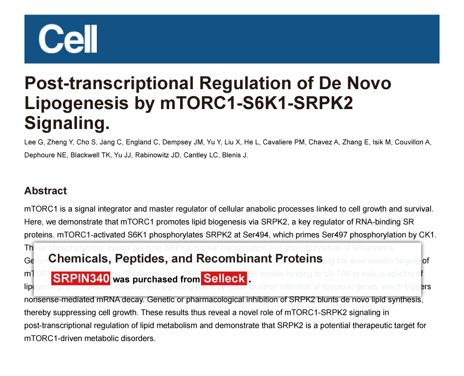 STK Inhibition | STK Inhibitor Review