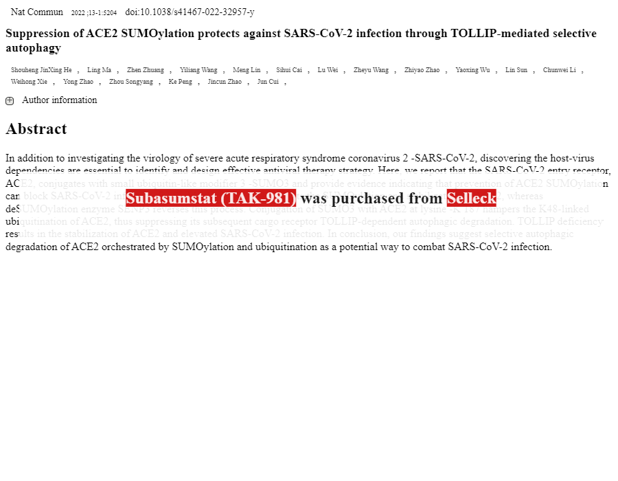 SUMO Inhibition | SUMO antibody | SUMO inhibitors | SUMO modulation