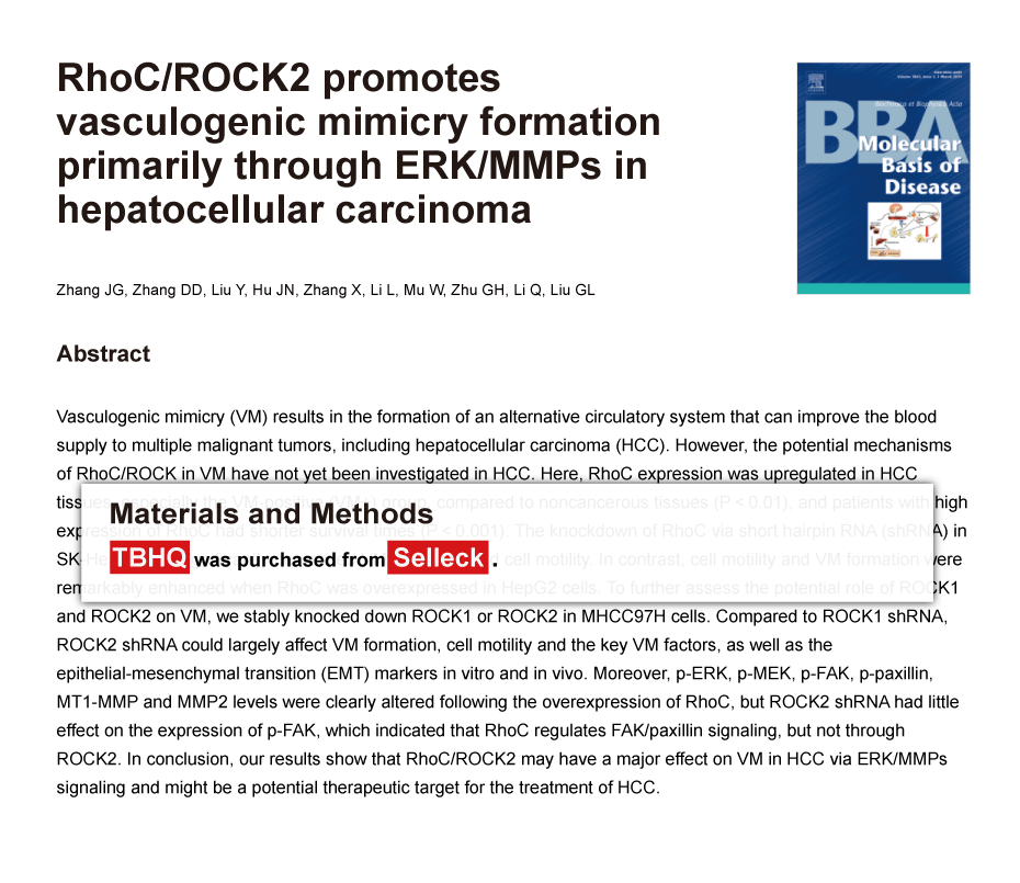 Nrf2 抑制剂 | Nrf2 Inhibitors