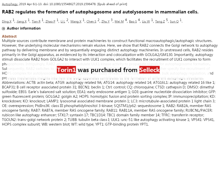 Torin 1 | 购买mTOR 抑制剂 - Selleck