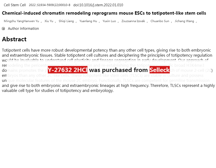 ROCK抑制剂 | ROCK Inhibitor