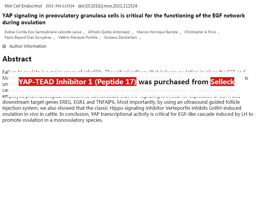 YAP-TEAD Inhibitor 1 (Peptide 17) | 99.56%(HPLC) | In Stock | YAP inhibitor