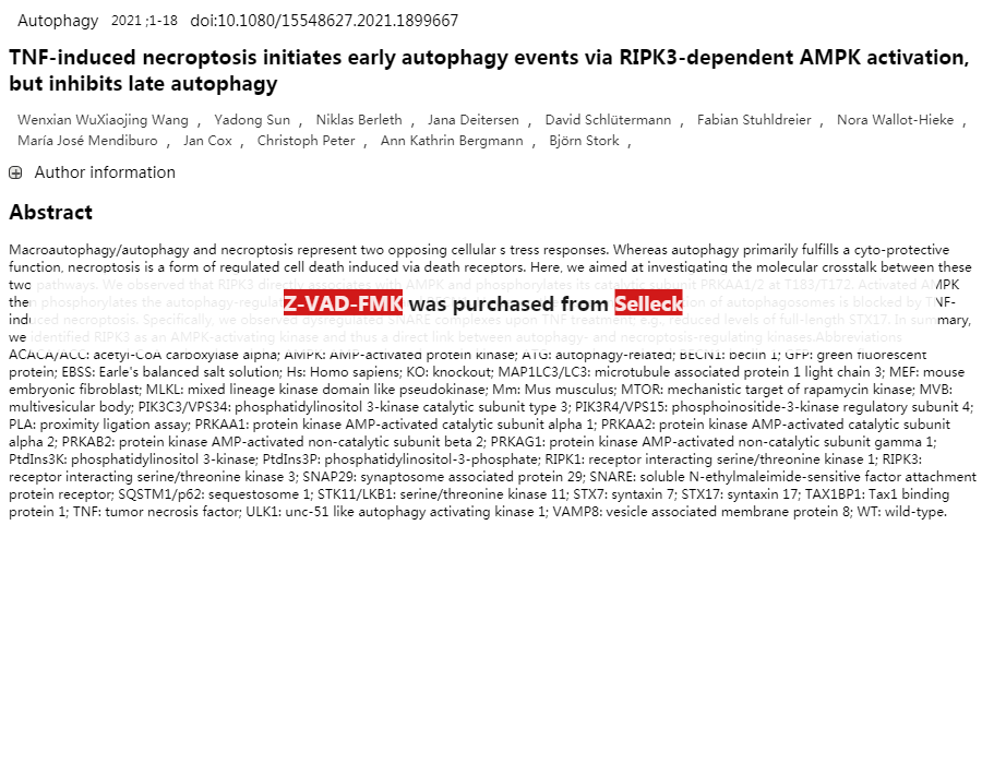 Z-VAD-FMK | Caspase 抑制剂&激活剂 | 现货供应 | 美国品牌 | 免费采购电话400-668-6834
